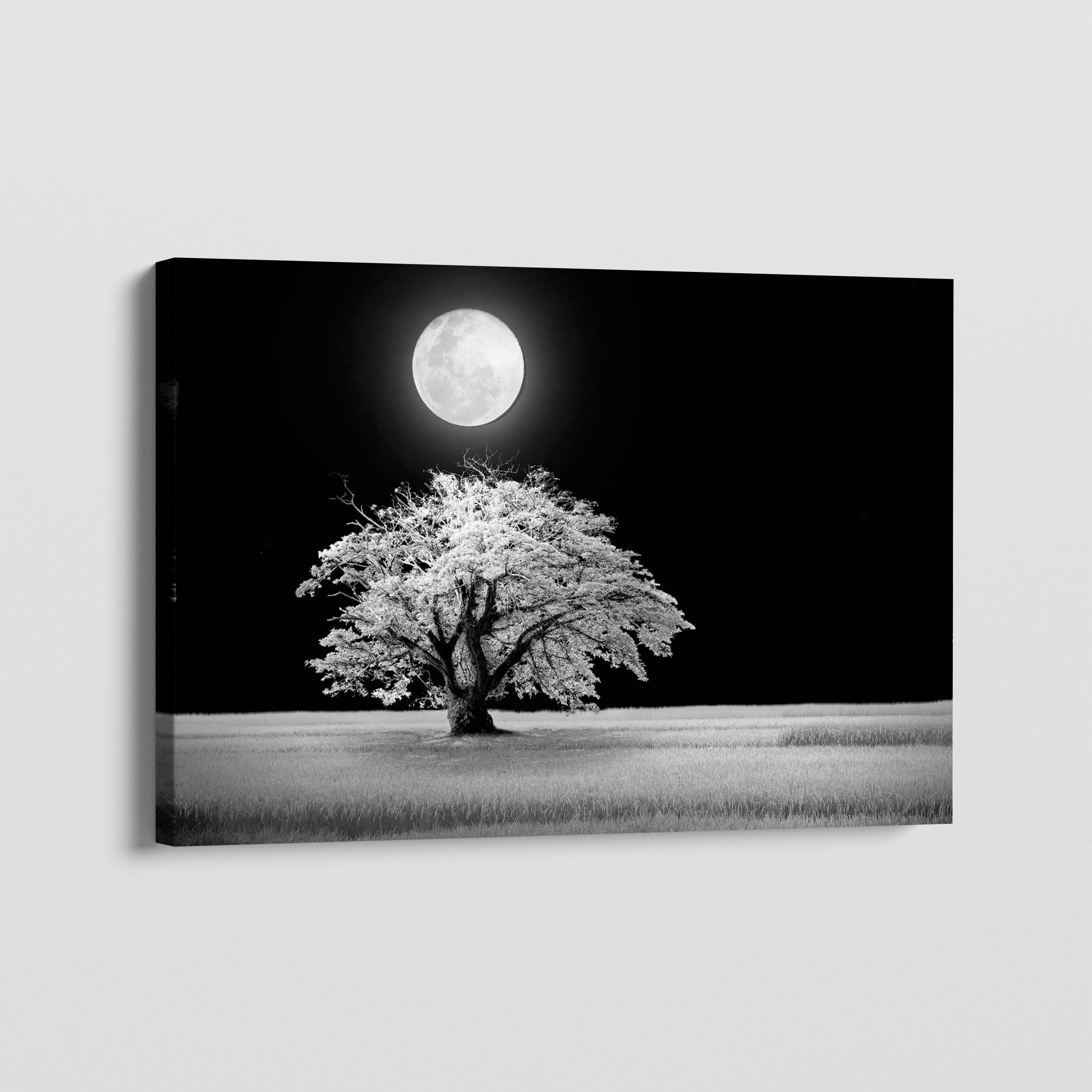 NIGHT GREY CANVAS – Crib of Art