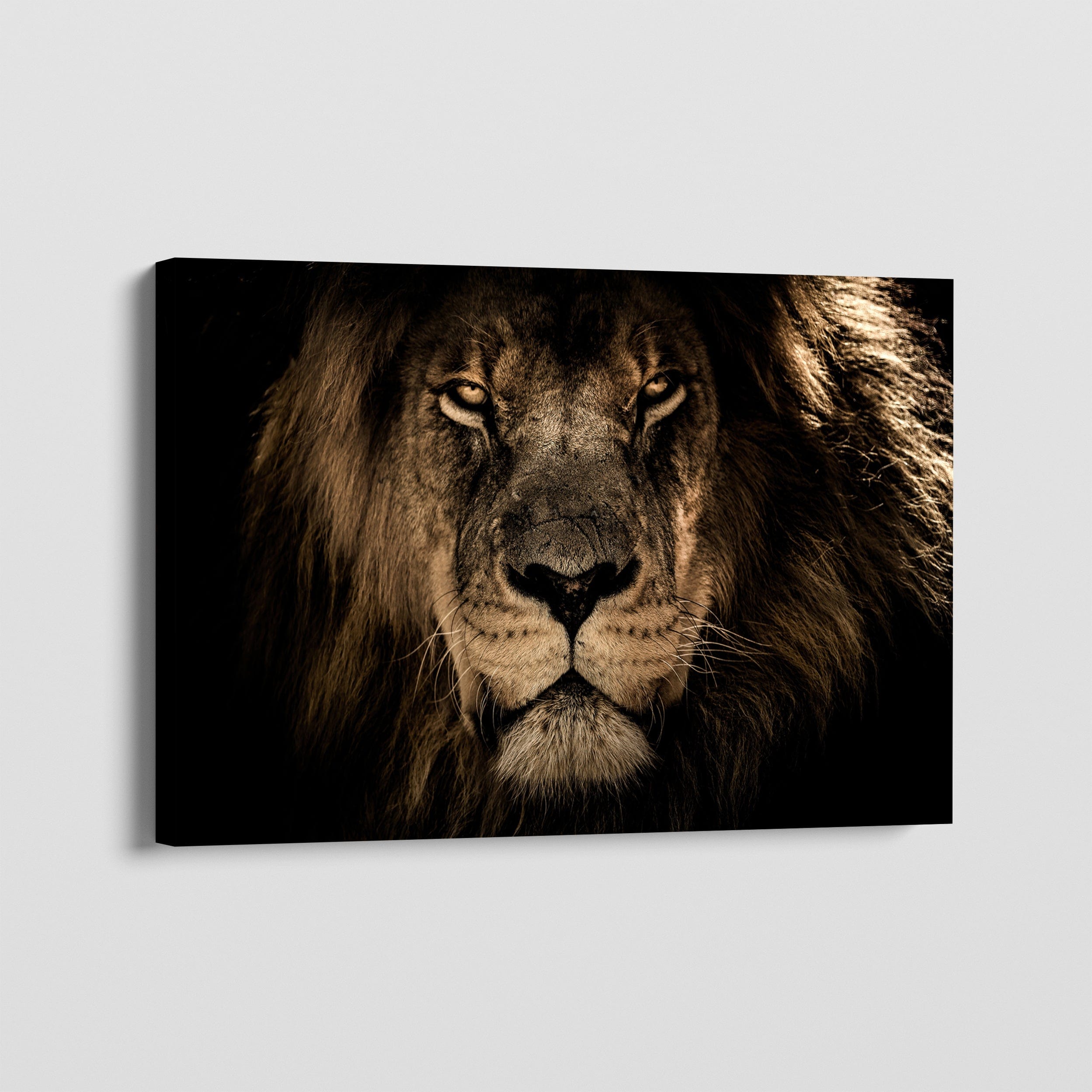 PREDATOR CANVAS – Crib of Art