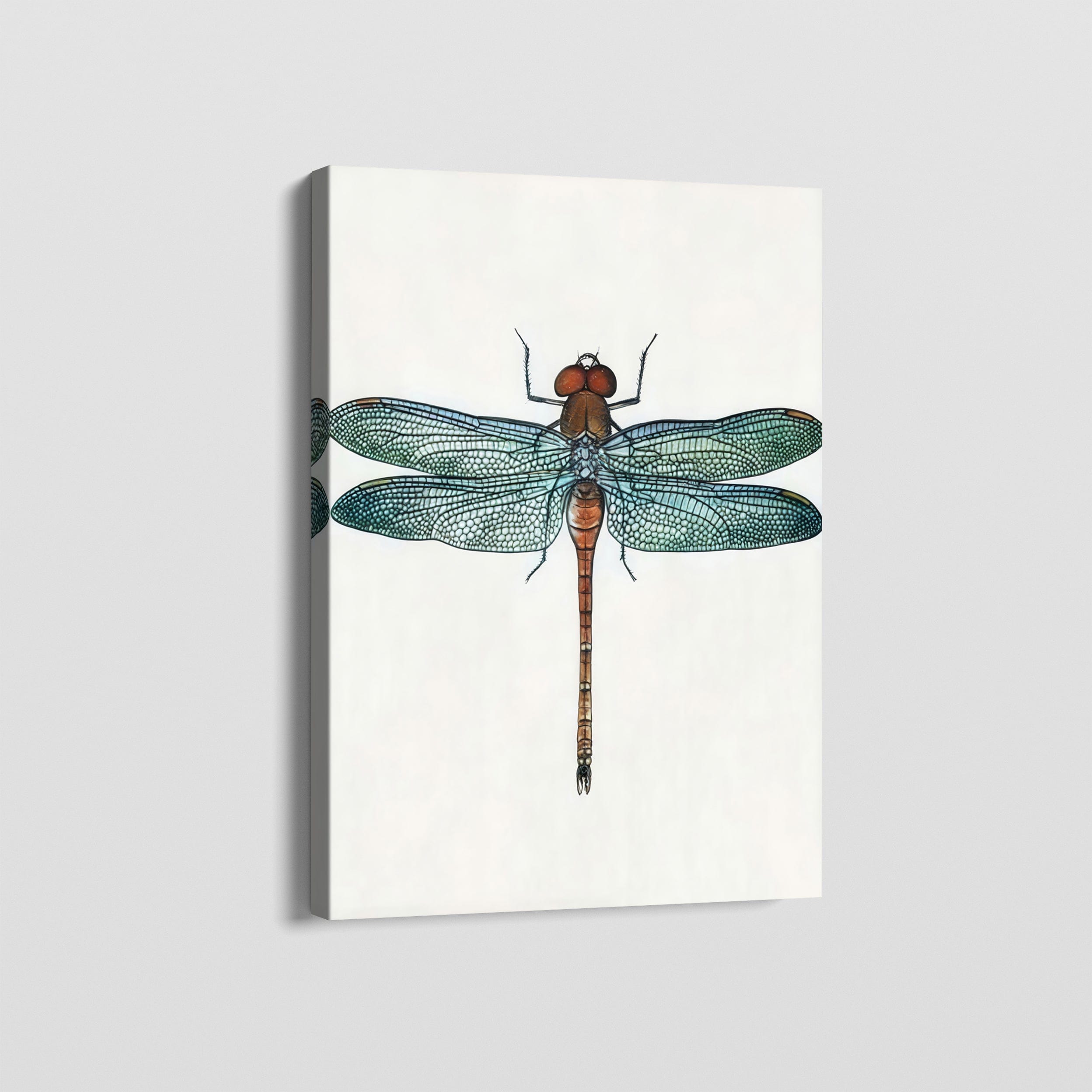 WATERCOLOR DRAGONFLY CANVAS – Crib of Art