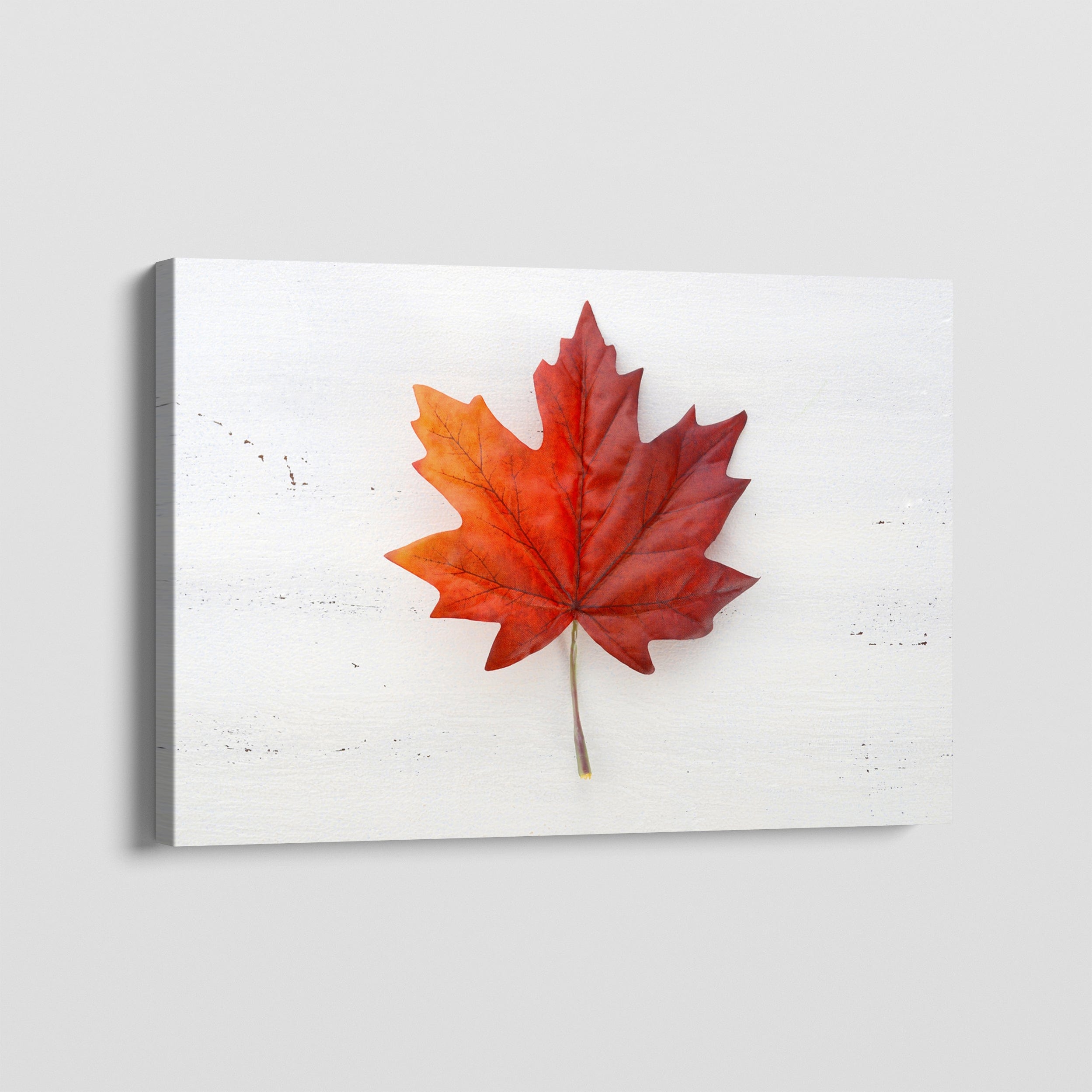 GLORIOUS MAPLE CANVAS – Crib of Art